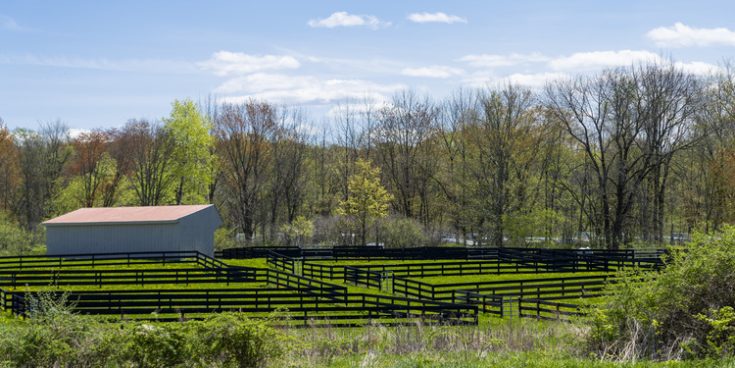 Best Things to do in Saratoga Springs